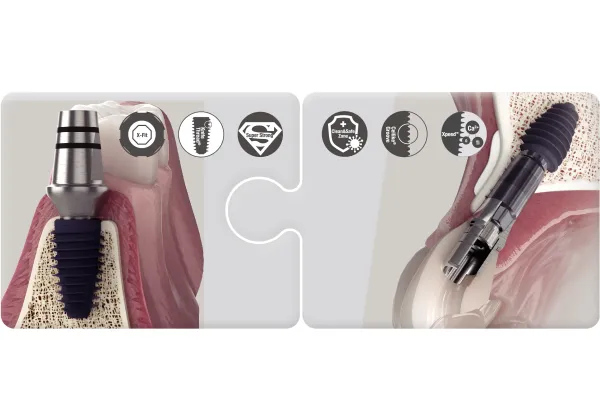 Collaboration of BD and ARi Concepts