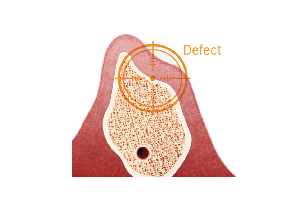 Clinical Versatility